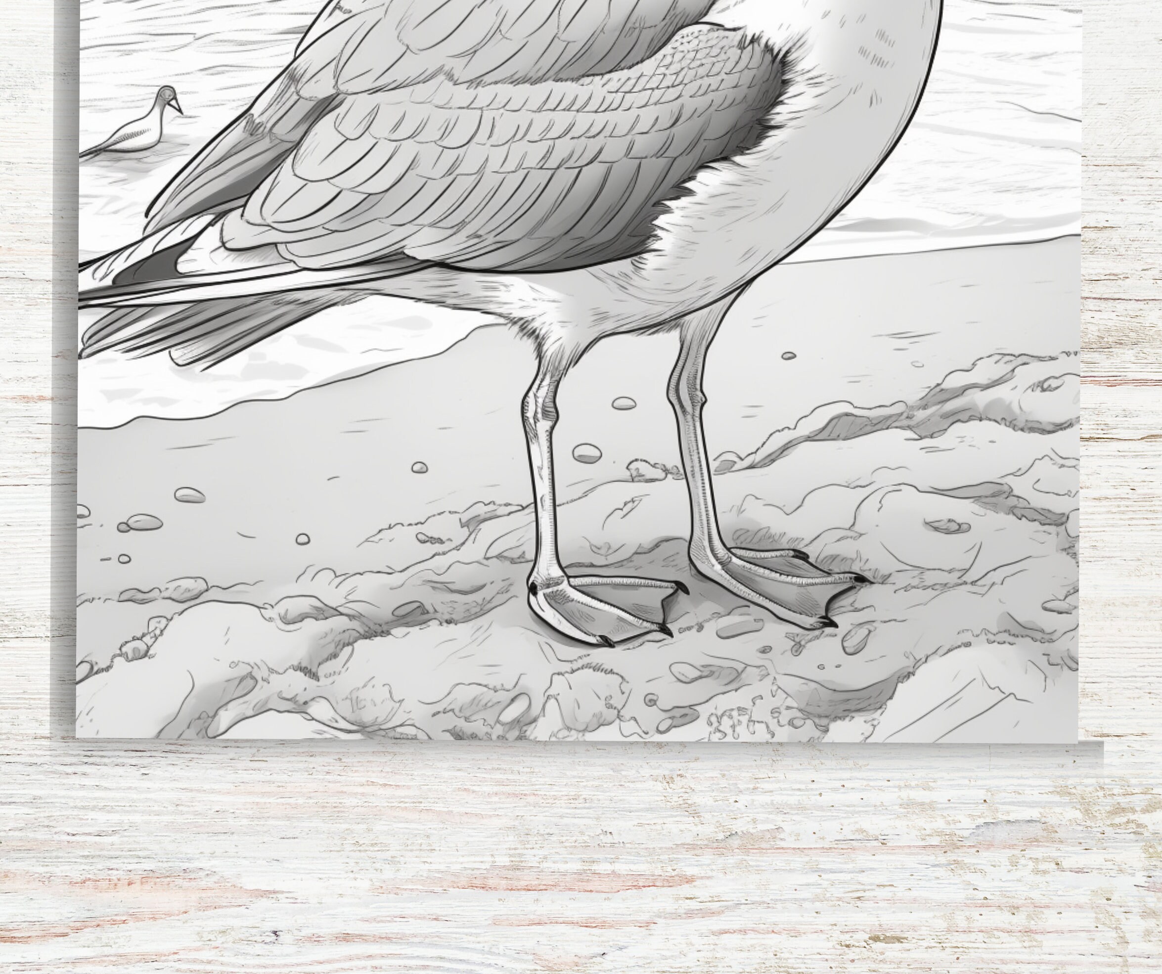 10 Seagull Bird Coloring Pages Printable PDF A4 Sea Birds Coloring ...