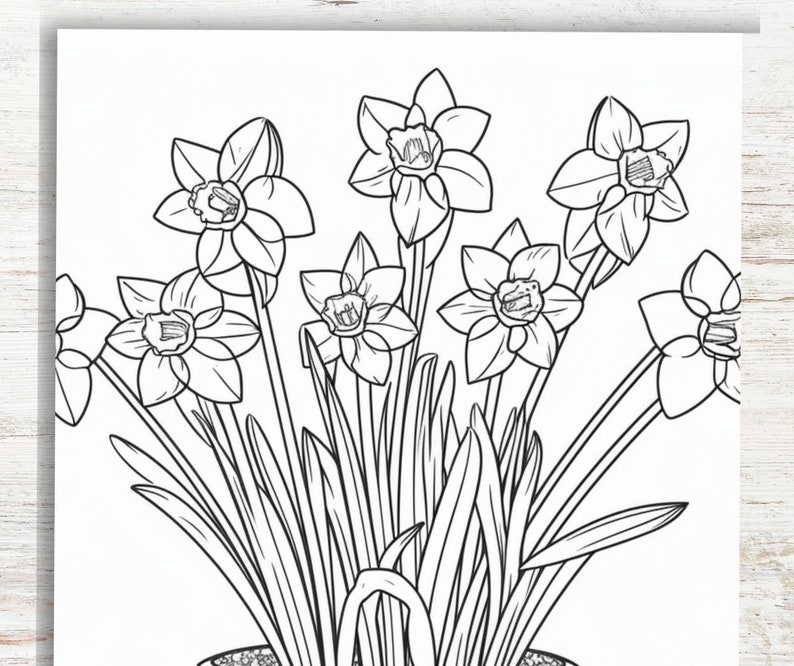 KDP Interior 50 Daffodil Flower Coloring Pages for Adults - Etsy