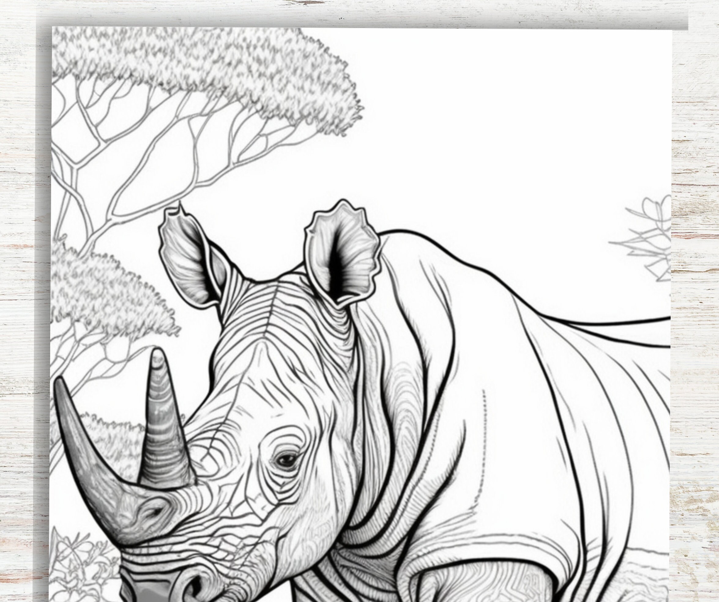 Realistic Rhino Coloring Pages
