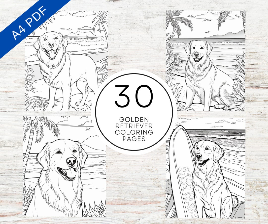 30 Summer Golden Retriever Coloring Pages | Printable PDF A4 | Adult ...