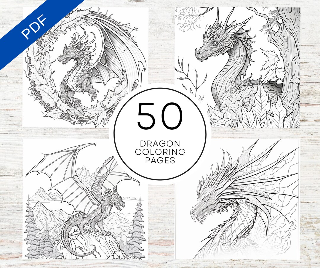 KDP Interior 50 Dragon Coloring Pages | 8.5" X 11" Printable PDF ...