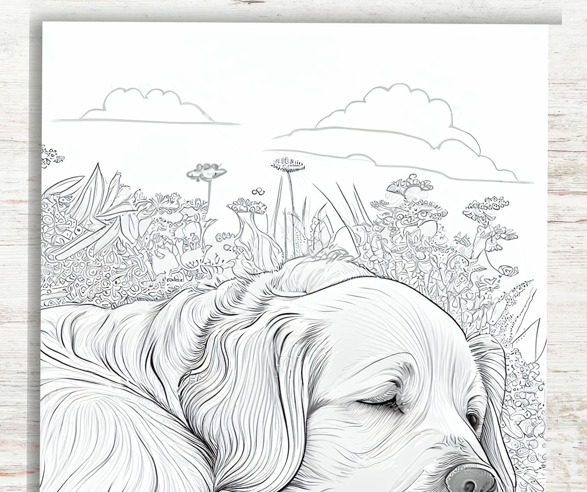 10 Cute Golden Retriever Coloring Pages A4 Printable PDF Dog Coloring ...