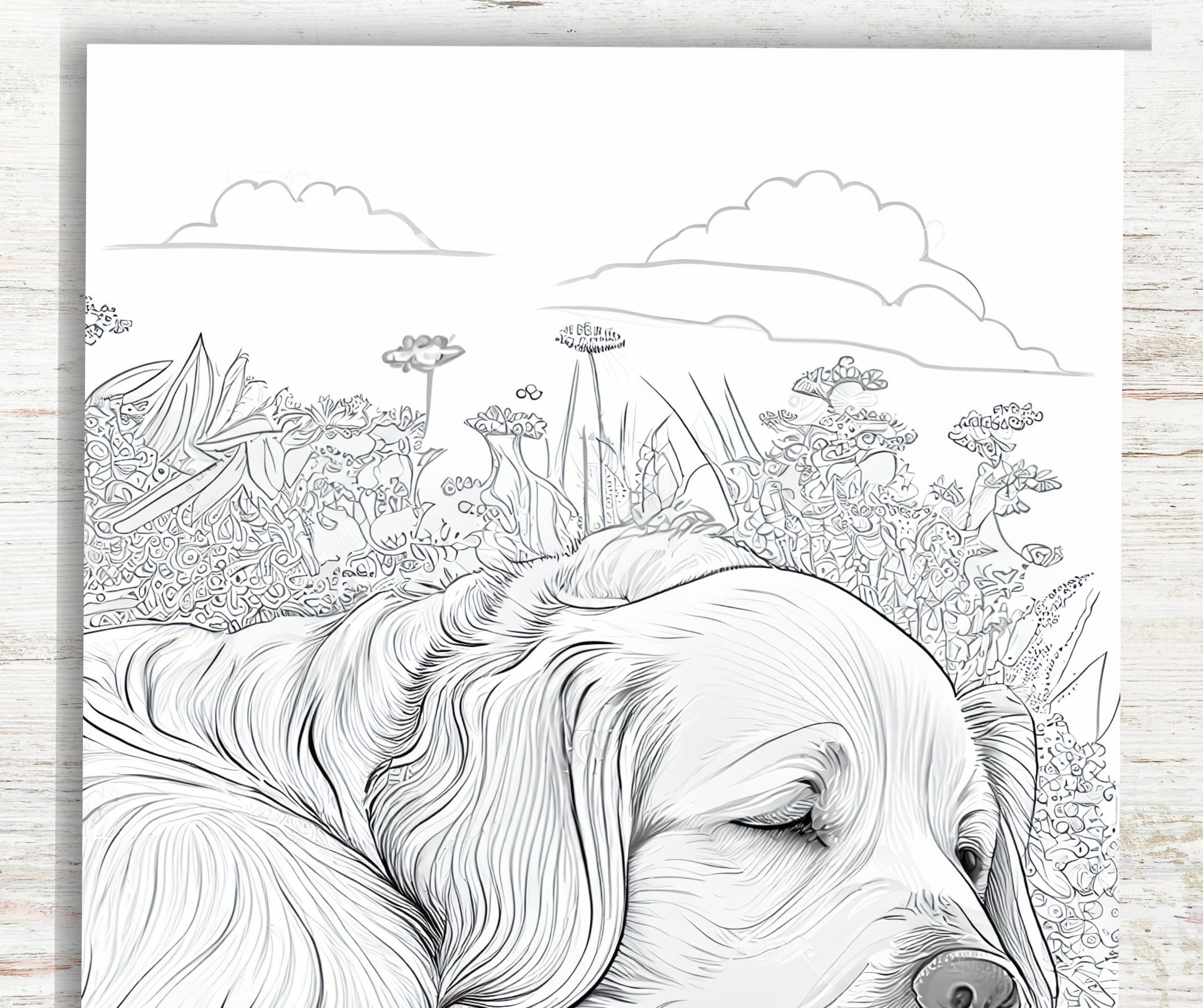 10 Cute Golden Retriever Coloring Pages | A4 Printable PDF | Dog ...