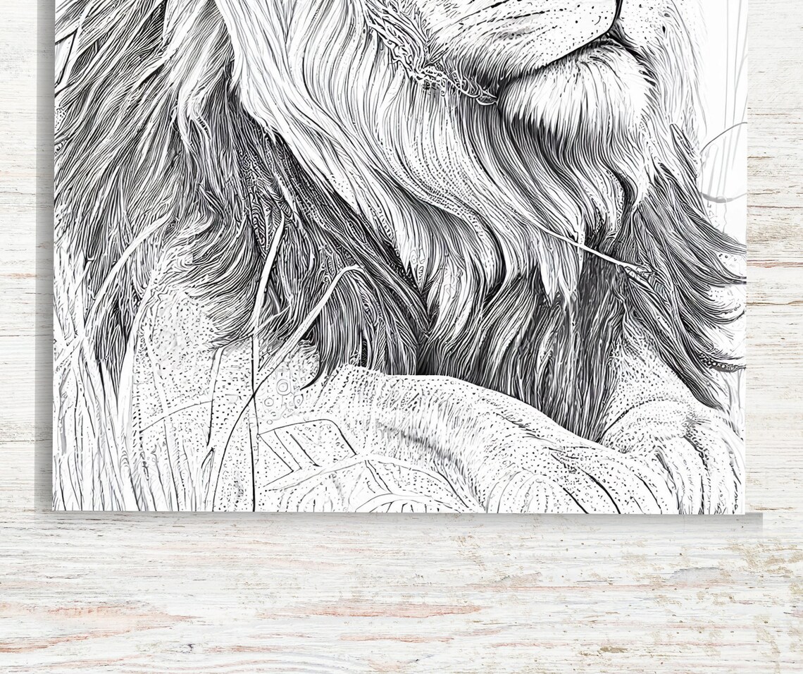 10 Realistic Lion Coloring Pages for Teens and Adults Printable PDF 10 ...