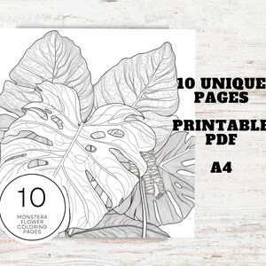 10 Monstera Flower Coloring Pages | Printable PDF A4 | Exotic Botanical ...