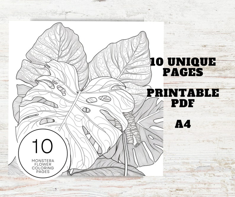 10 Monstera Flower Coloring Pages | Printable PDF A4 | Exotic Botanical ...
