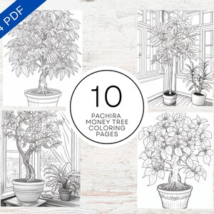 10 Pachira Money Tree Coloring Pages | Printable PDF A4 | Plant ...