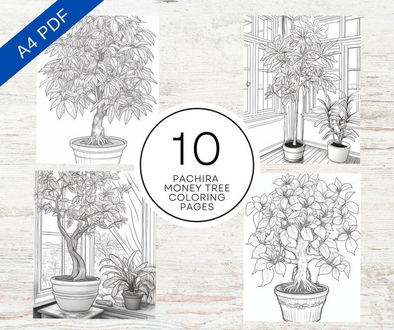 10 Pachira Money Tree Coloring Pages | Printable PDF A4 | Plant ...