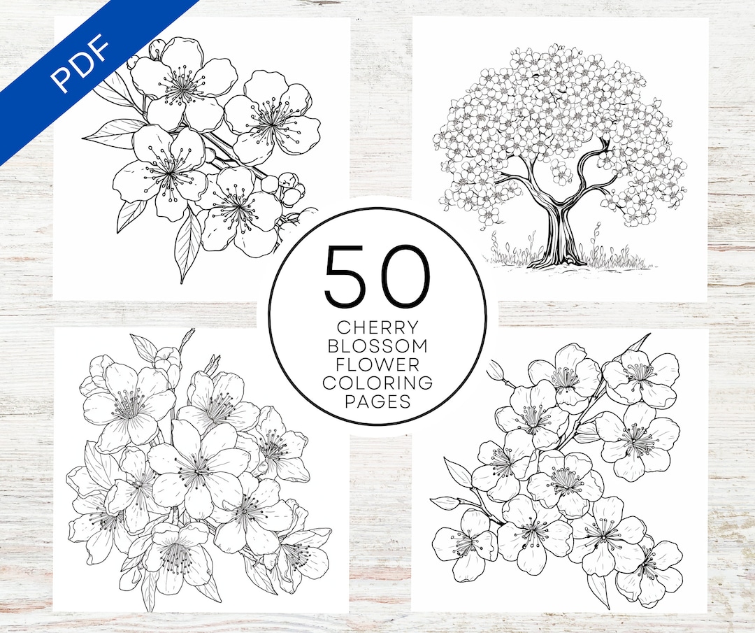 KDP Interior 50 Cherry Blossom Flower Coloring Pages | 8.5" X 11" Pdf ...