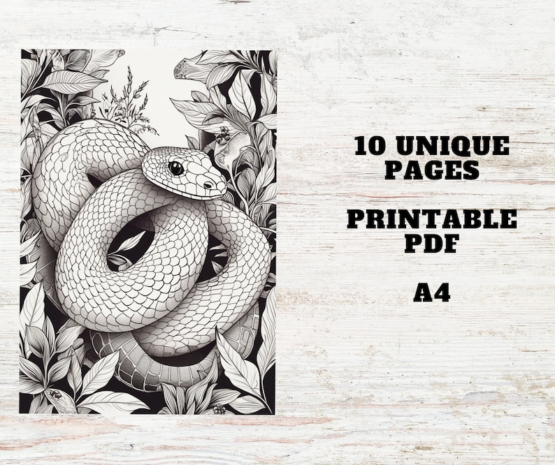 10 Snake Coloring Pages for Kids | A4 Printable PDF | Reptile Coloring ...
