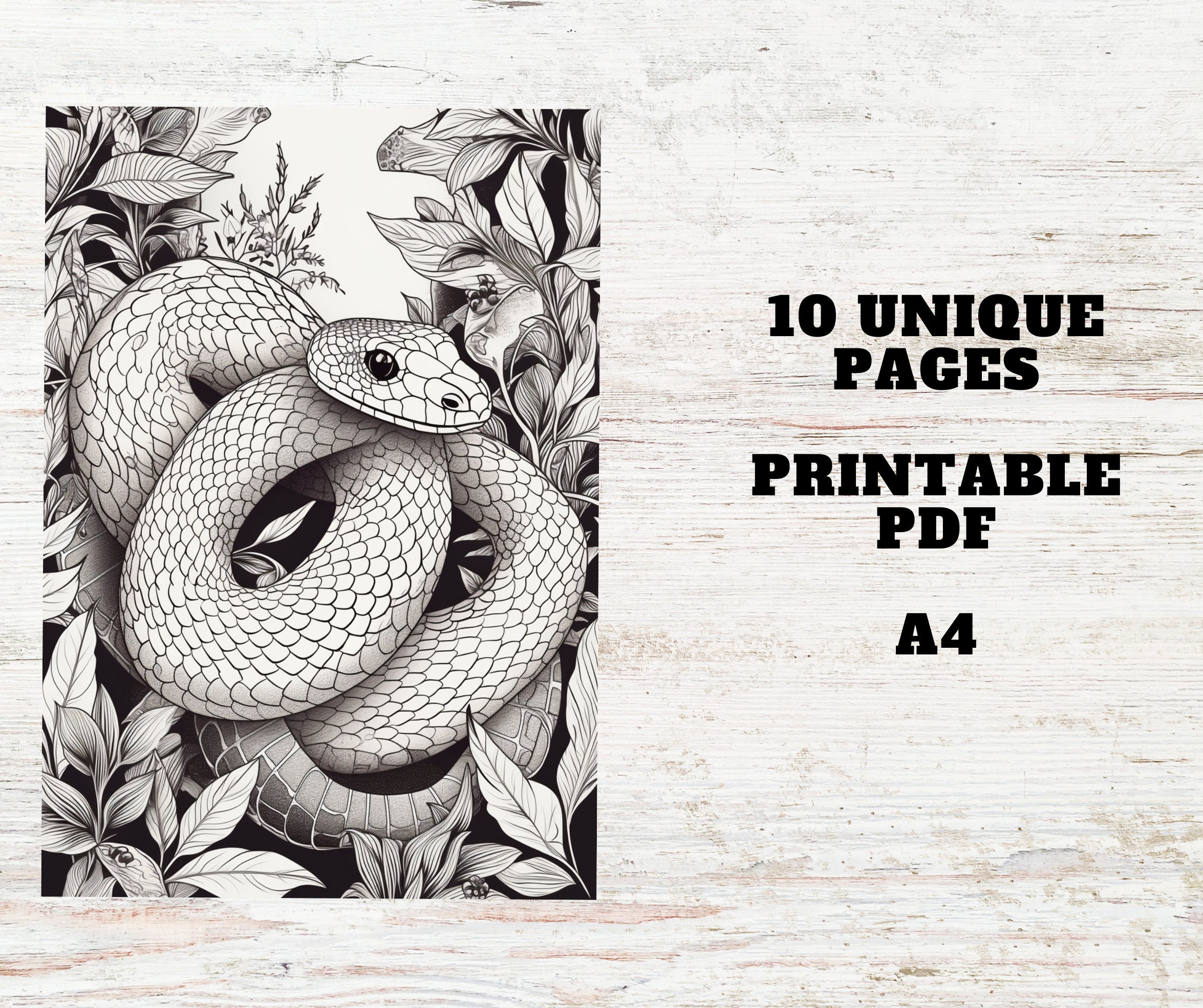 10 Snake Coloring Pages for Kids | A4 Printable PDF | Reptile Coloring ...