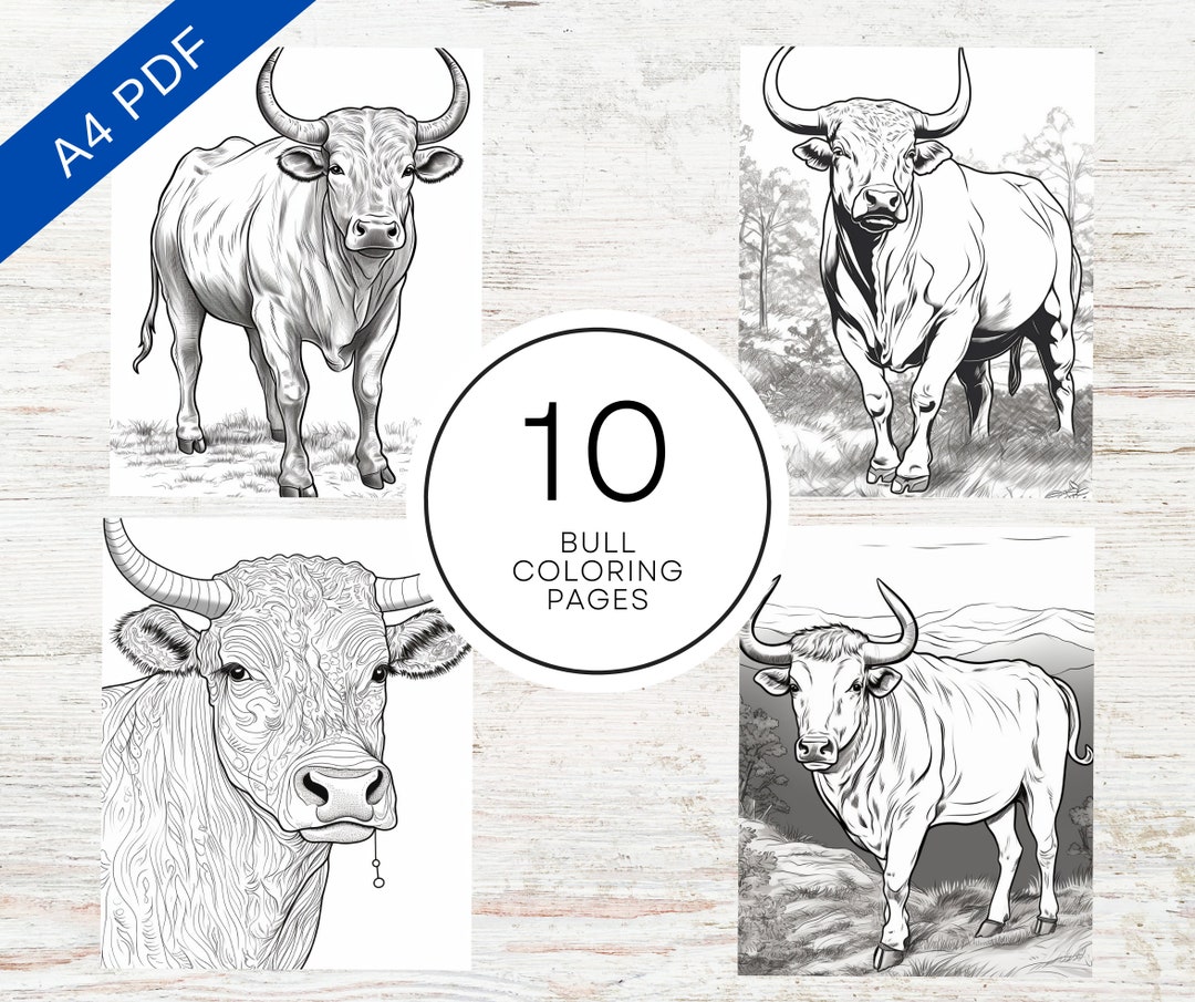 10 Bull Coloring Pages for Teens & Adults | A4 Printable Animal ...