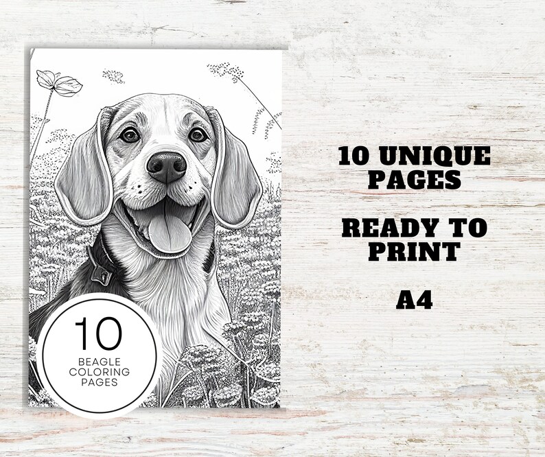 10 Cute Beagle Dogs Coloring Pages | A4 Printable PDF | Dog Coloring ...