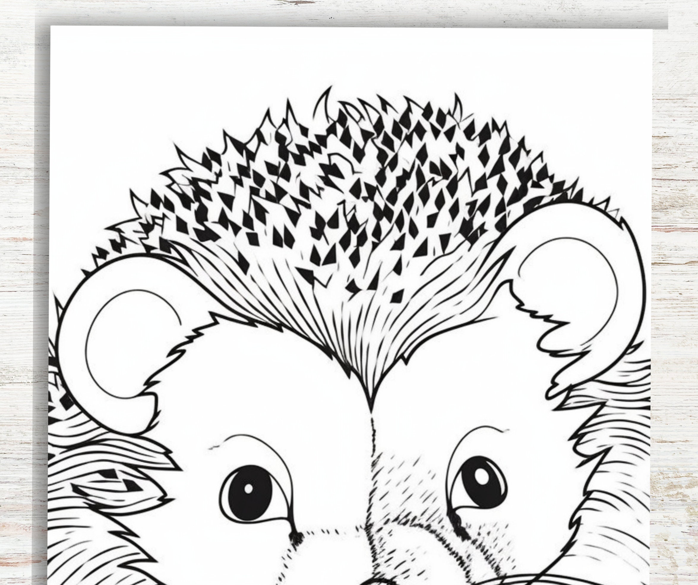 KDP Interior 50 Cute Hedgehog Coloring Pages for Kids | 8.5" X 11 ...