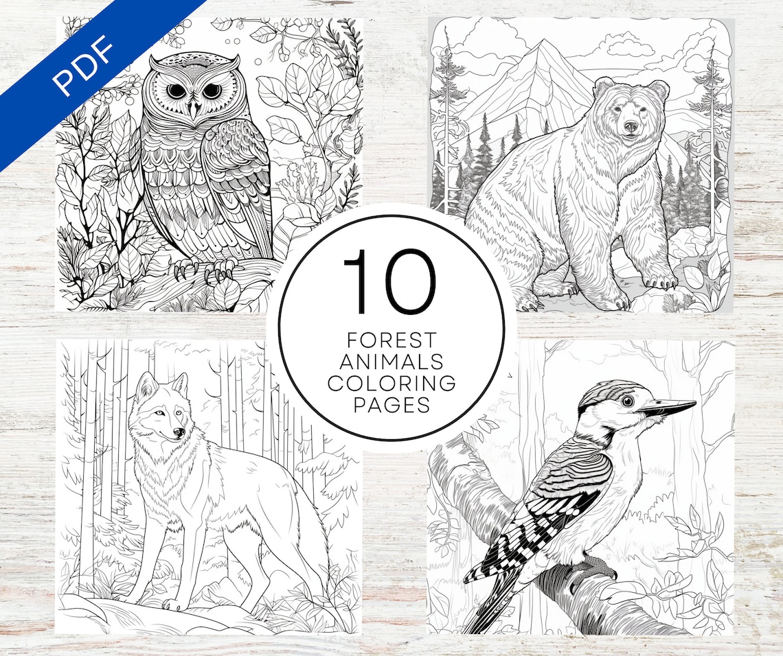 10 Forest Wildlife Animals Coloring Pages | Printable PDF A4 | Adult ...
