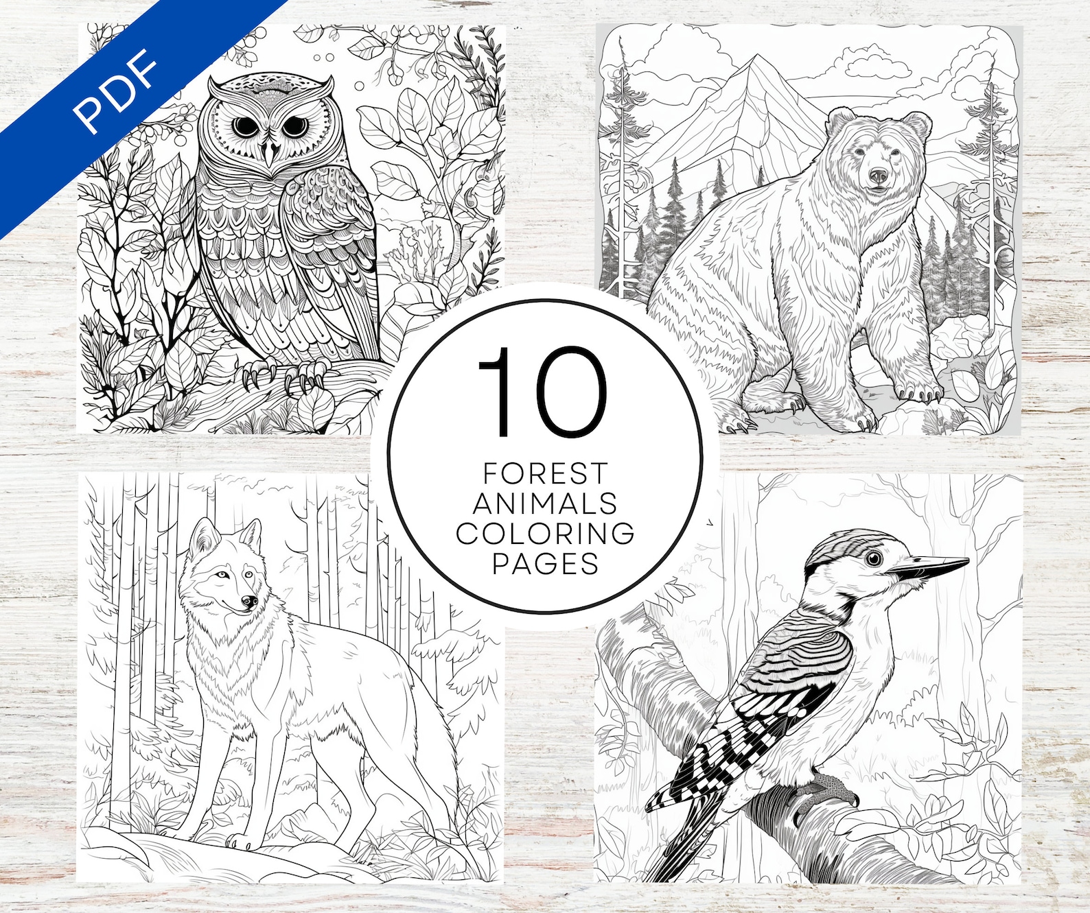 10 Forest Wildlife Animals Coloring Pages | Printable PDF A4 | Adult ...