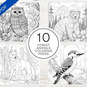 10 Forest Wildlife Animals Coloring Pages | Printable PDF A4 | Adult ...