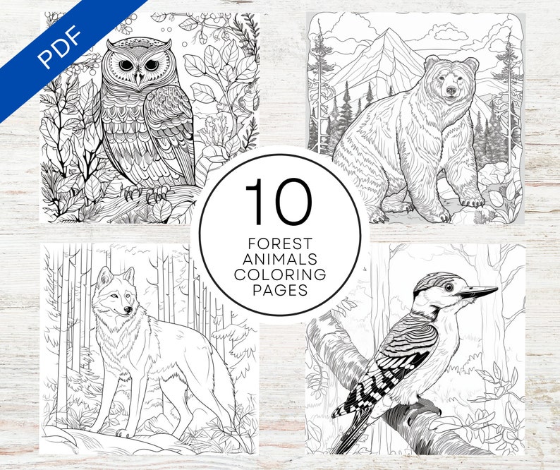 10 Forest Wildlife Animals Coloring Pages | Printable PDF A4 | Adult ...