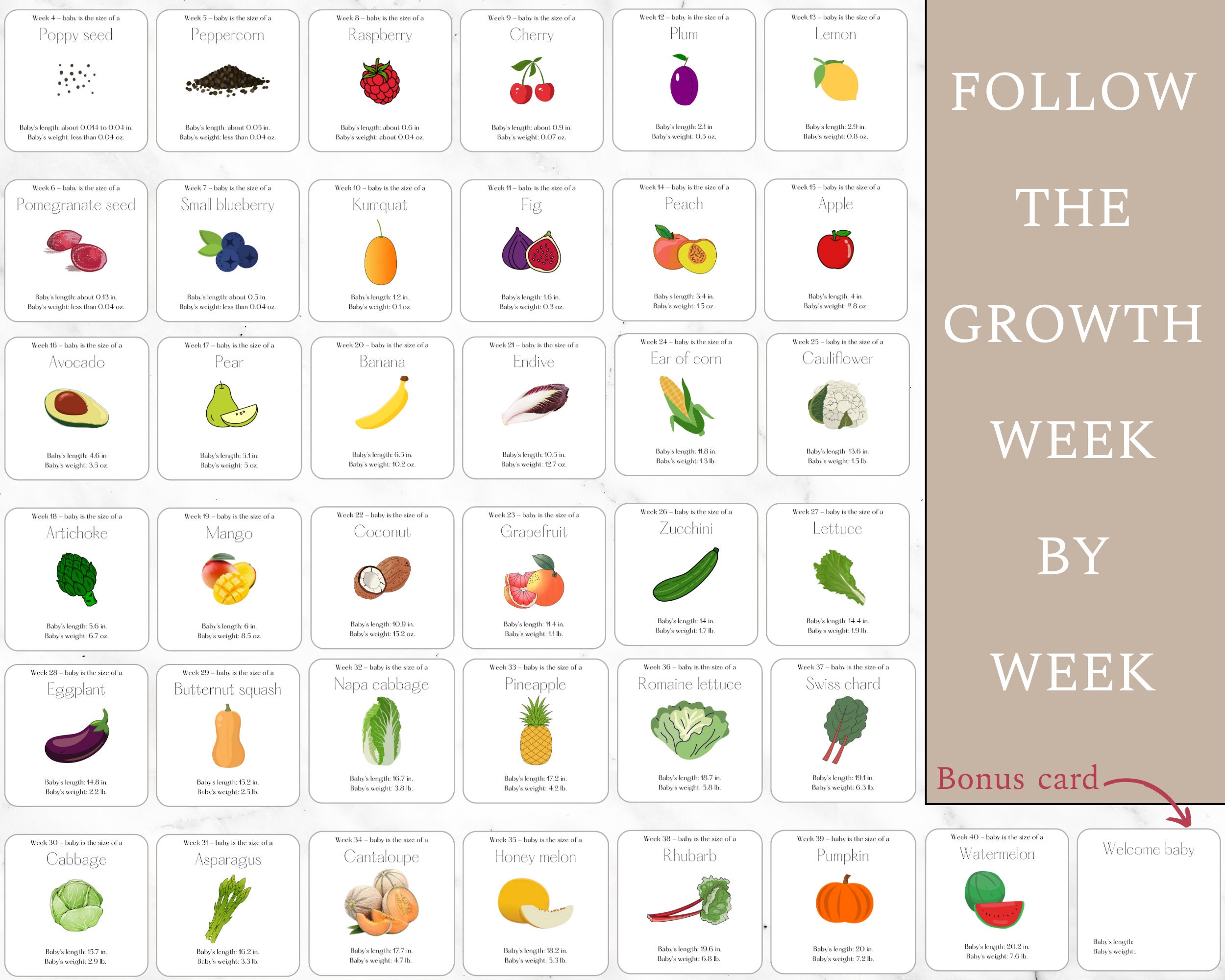 Printable Pregnancy Milestone Cards | Baby Size Week by Week Fruit and ...