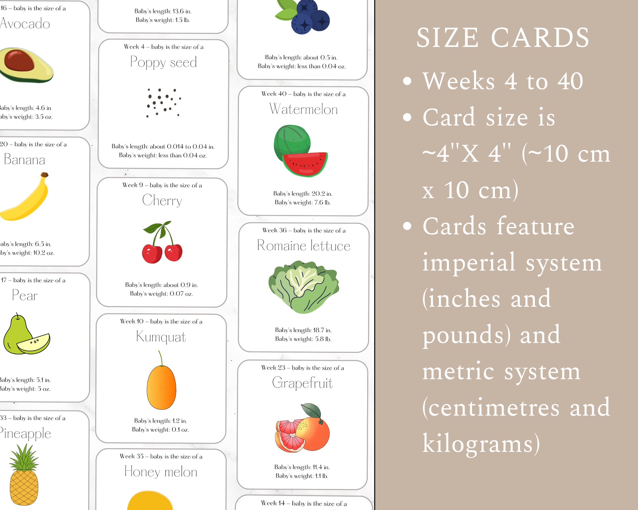 Printable Pregnancy Milestone Cards | Baby Size Week by Week Fruit and ...
