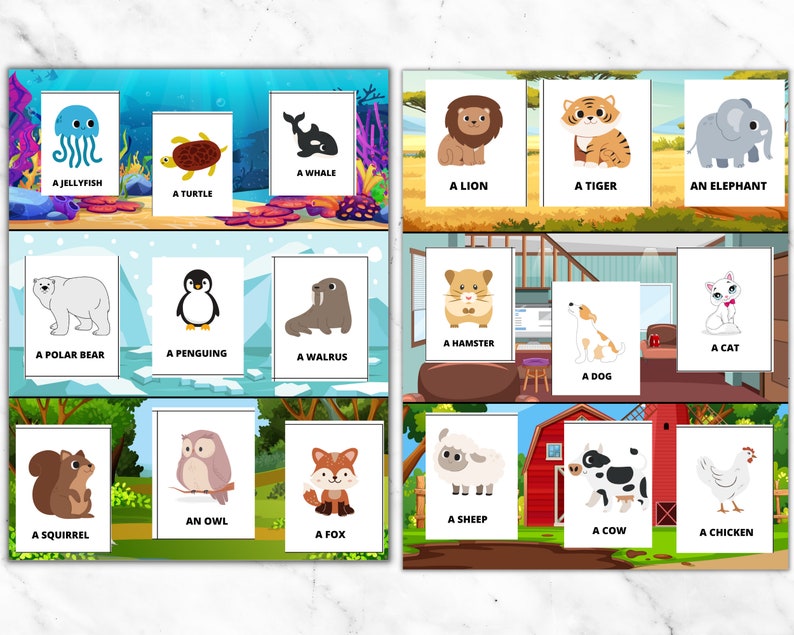 Animal Habitats Sorting Worksheet, Preschool Animal Habitat Matching ...