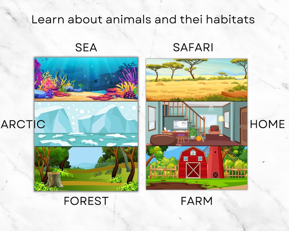 Animal Habitats Sorting Worksheet, Preschool Animal Habitat Matching ...