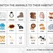 Animal Habitats Sorting Worksheet, Preschool Animal Habitat Matching ...