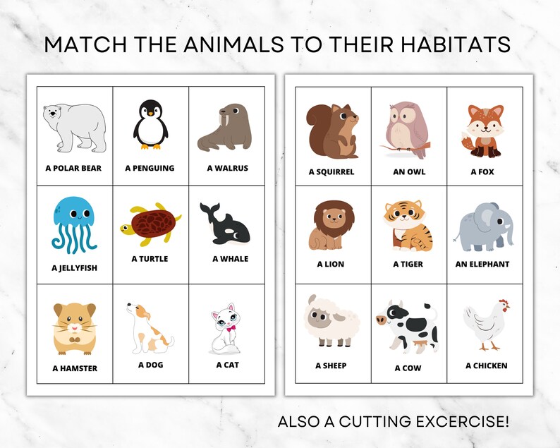 Animal Habitats Sorting Worksheet, Preschool Animal Habitat Matching ...