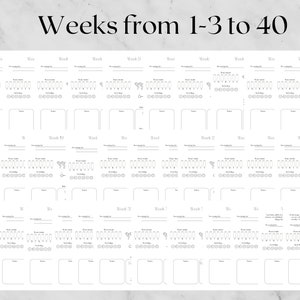 Digital Pregnancy Journal, Printable Pregnancy Planner, Baby Gestation ...