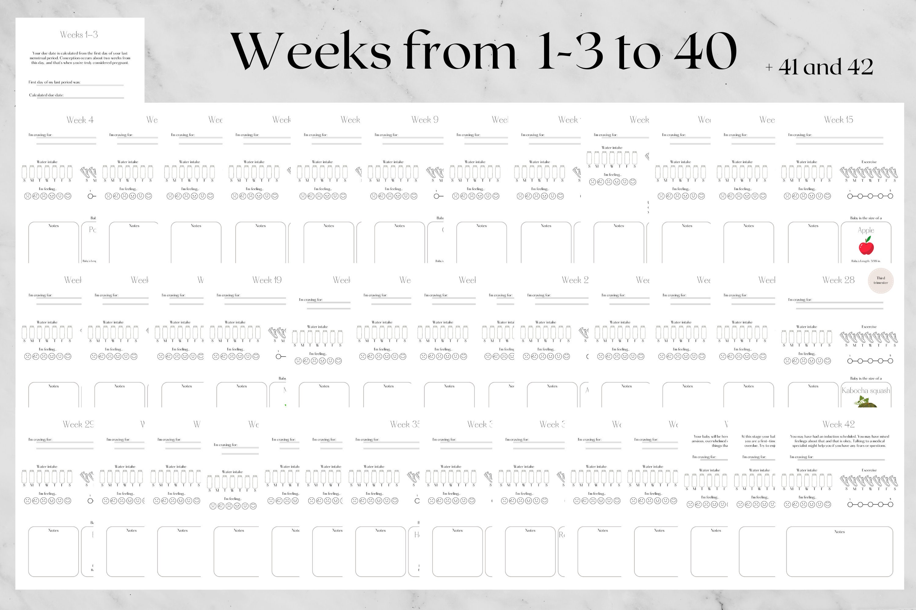 Digital Pregnancy Journal, Printable Pregnancy Planner, Baby Gestation ...