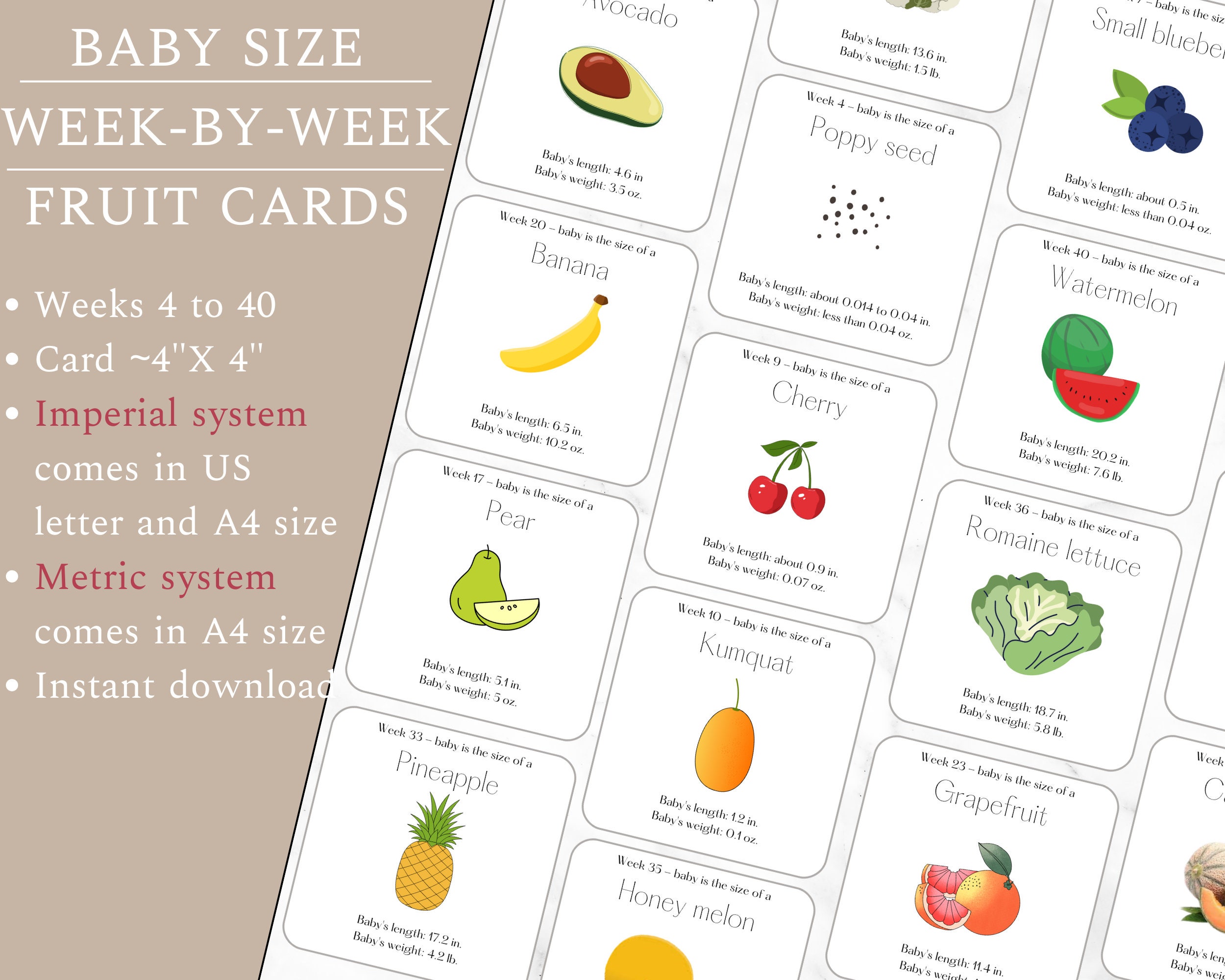 Printable Pregnancy Milestone Cards | Baby Size Week by Week Fruit and ...