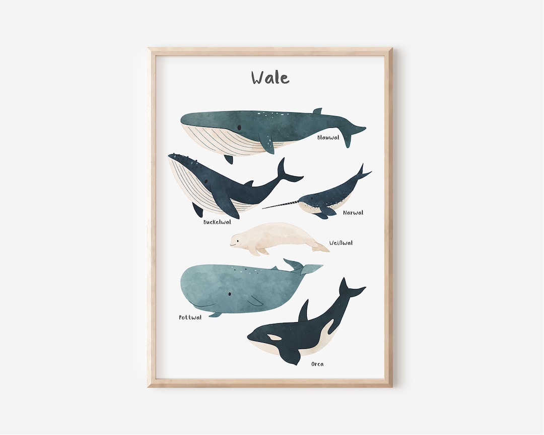 Whale Poster in A2 A3 A4 | Poster for Children's Rooms | Print | Gift ...
