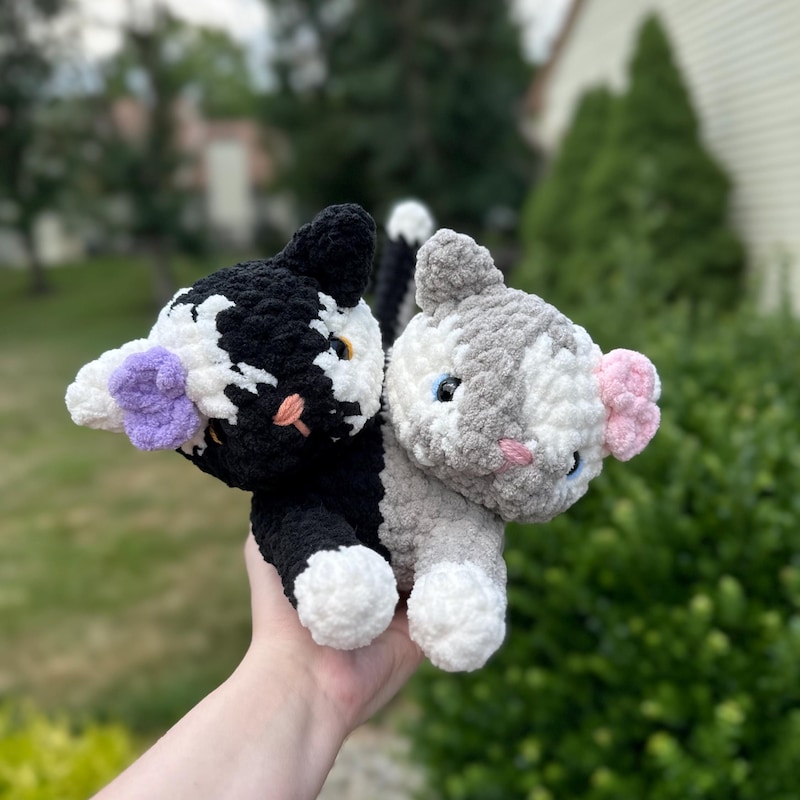 Two Headed Cat - Etsy
