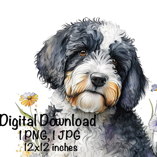 Sheepadoodle Clipart - Etsy