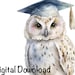 Graduation Owl Clipart Grad Student Owl PNG College Graduation ...