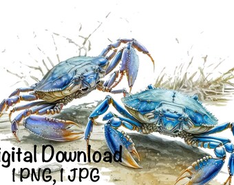 Blue Crab Watercolor Png/clipart - Etsy