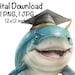 Graduation Shark Watercolor Clipart Graduation Cute Shark PNG ...