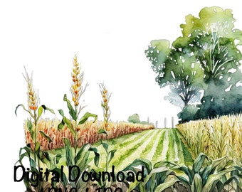 Corn Fields Drawing