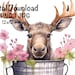Cute Moose & Spring Flowers PNG Commercial Use Moose Graphic Elk PNG ...
