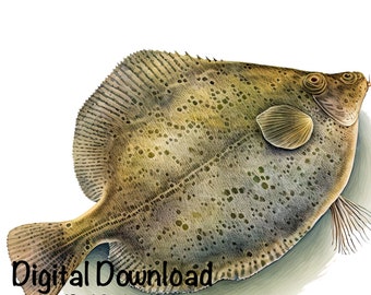 Fluke Watercolor - Etsy