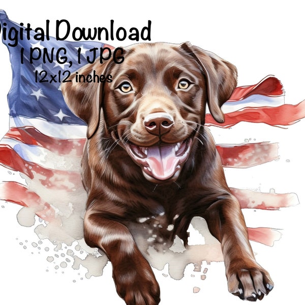 Chocolate Lab Flag - Etsy