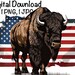 Bison Flag PNG Patriotic USA Bison Flag Clipart American Bison ...