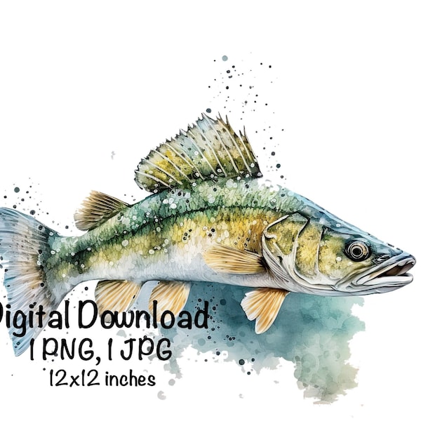 Watercolor Walleye Clipart - Etsy