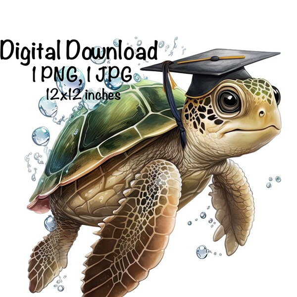 Graduation Cap Turtle - Etsy