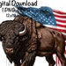 Bison Flag PNG Patriotic USA Bison Flag Clipart American Bison ...