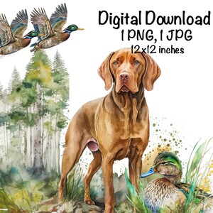 Golden Dog Watercolor Clipart Duck Hunting Dog PNG Commercial - Etsy