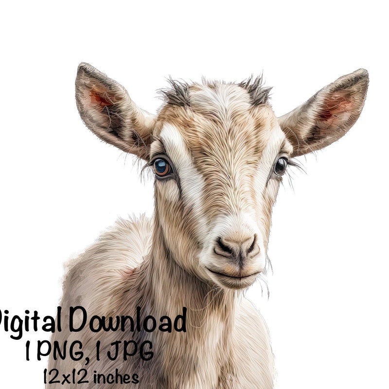 Goat Watercolor - Etsy