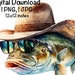 Funny Bass Fish PNG, Cowboy Fish Fishing PNG, Digital Download, Bass ...