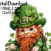St. Patrick's Day Leprechaun Watercolor, Leprechaun Clipart PNG ...