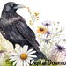 Cute Crow Flowers Watercolor Clipart Crow Spring Bird Flowers PNG ...